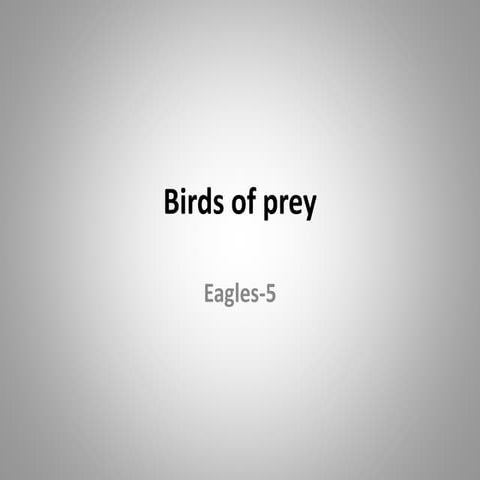Birds of prey eagles-5 | PPTX