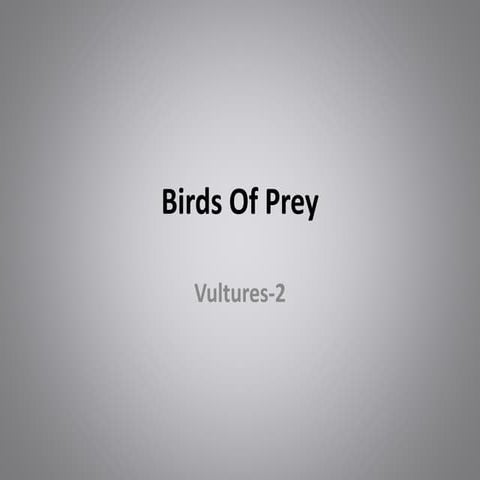 Birds of prey vultures-2 | PPTX