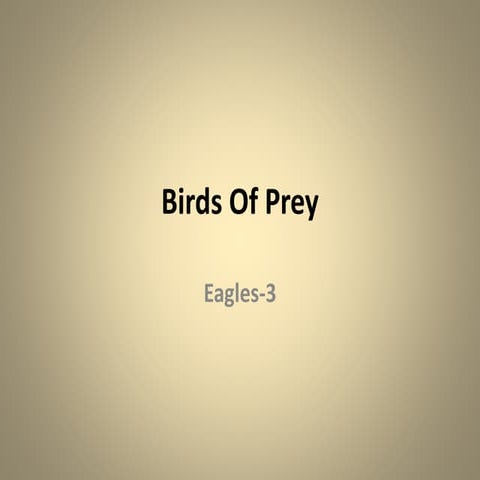 Birds of prey eagles 3 | PPTX | Birdwatching | Hobbies & Interests