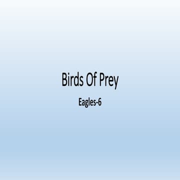 Birds of prey eagles 6 | PPT