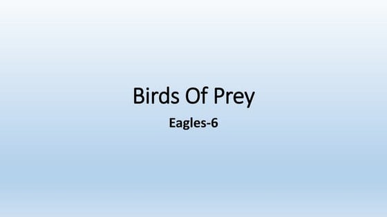 Birds of prey | PPT