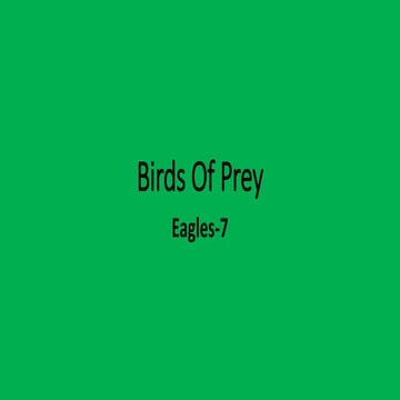 Birds of prey eagles 7 | PPTX | Birdwatching | Hobbies & Interests