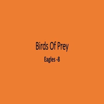 Birds of prey | PPTX