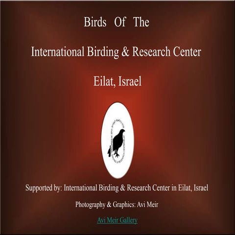 Birds Of The Red-Sea, Eilat, Israel | PPS