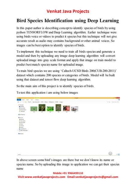 BIRD SPECIES (1).pptx