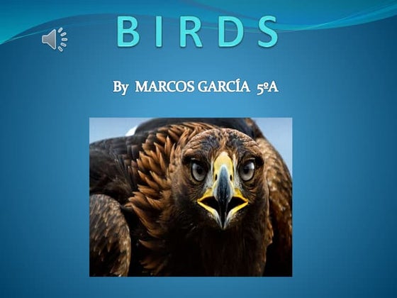 CBSE: GRADE 3 BIRDS AND THEIR BODIES | PPTX