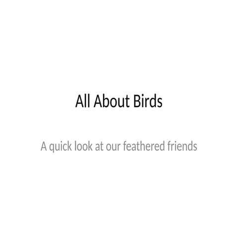 Birds_Presentation.pptxsgwvidyjev ahiutuebid | PPTX