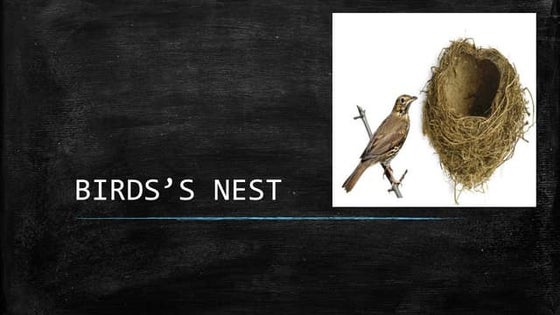 Bird nest type and nesting behaviour in birds | PPTX