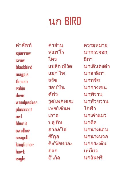 The hare and the tortoise waree | DOCX