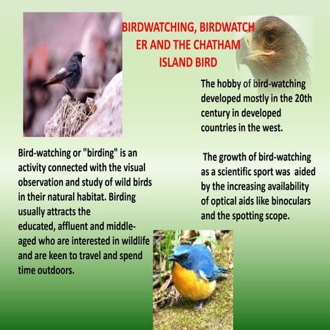 Birdwatcher | PPTX | Birdwatching | Hobbies & Interests