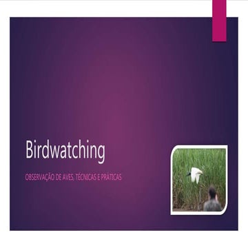 Birdwatching | PPTX