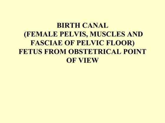 Maternal pelvis | PDF