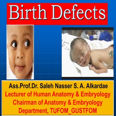 BirthDefects(0).pdf