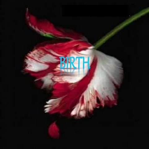 Birth Class11 English PPT | PPTX