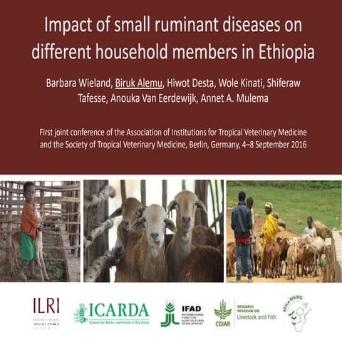 Impact of small ruminant diseases on different household members in ...