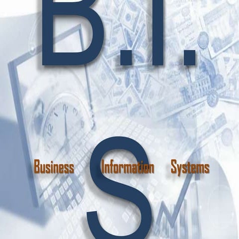 BIS Presentation (updated) | PPT