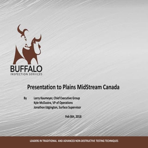 Buffalo inspection services