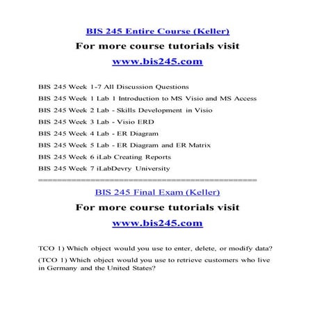 BIS 245 Lessons in Excellence / bis245.com