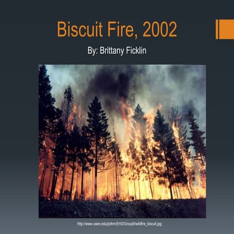 Biscuit wildfire presentation | PPTX