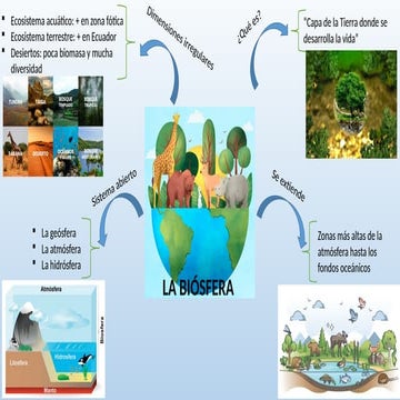 INTRODUCCION A LA ECOLOGIA DE 3RO (LA BIOSFERA) | PPTX