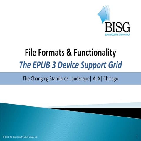 BISG EPUB Grid Presentation | PPTX