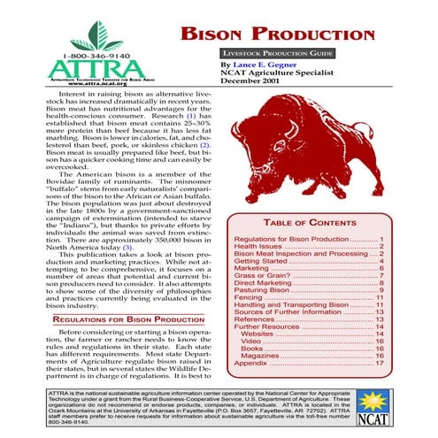 Bison Production | PDF