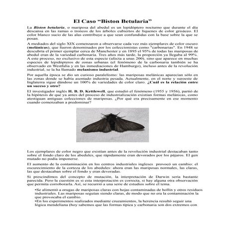 Biston betularia por Celia | PDF