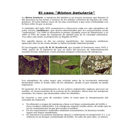 Biston betularia por Cristina | PDF
