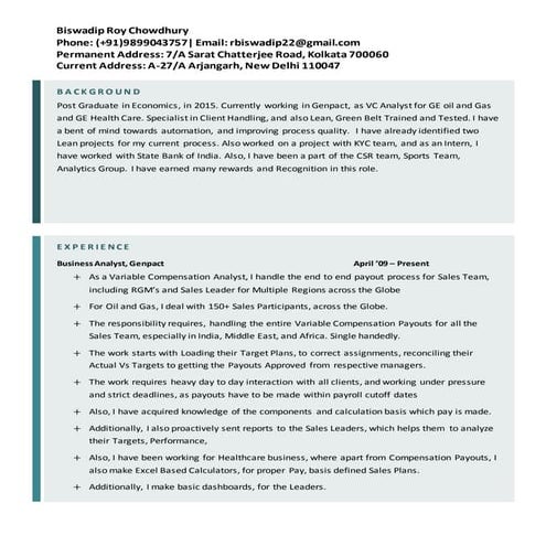 Liz Professional Resume | PDF