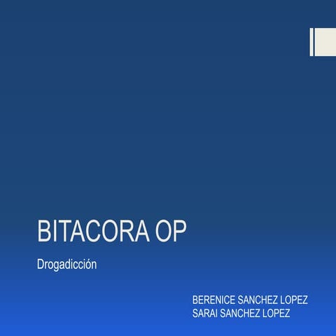 Bitacora op | PPTX