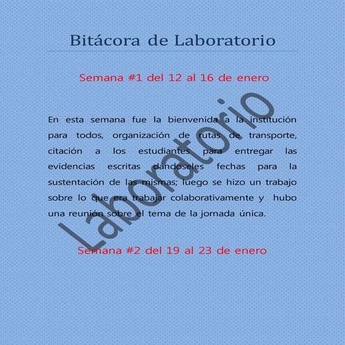 Bitácora de Laboratorio | PDF