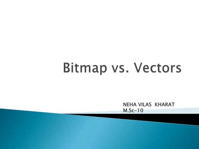 Bitmap and Vector Images: Make Sure You Know the Differences