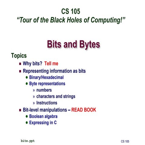 bits.ppt