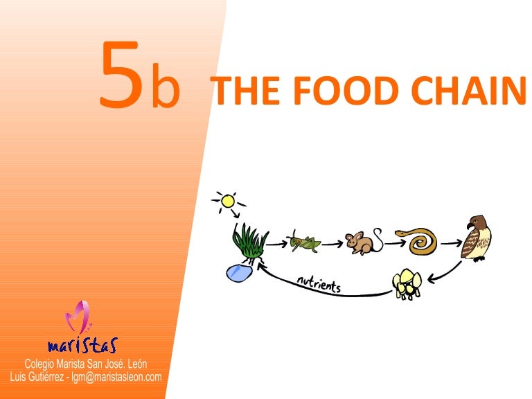 Unit 5b. The food chain