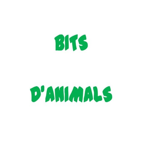 Bits animals | PPTX