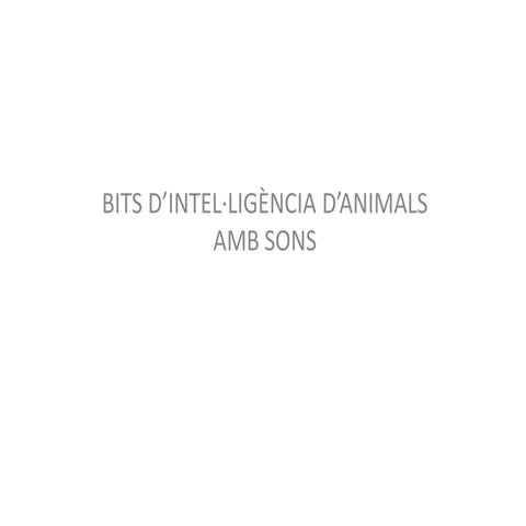 Bits animals | PPTX