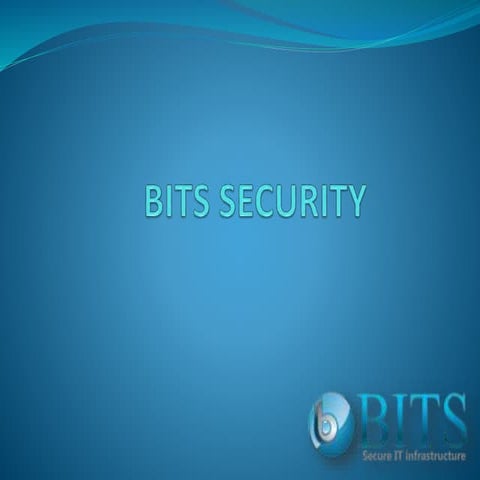 Bits security | PPT