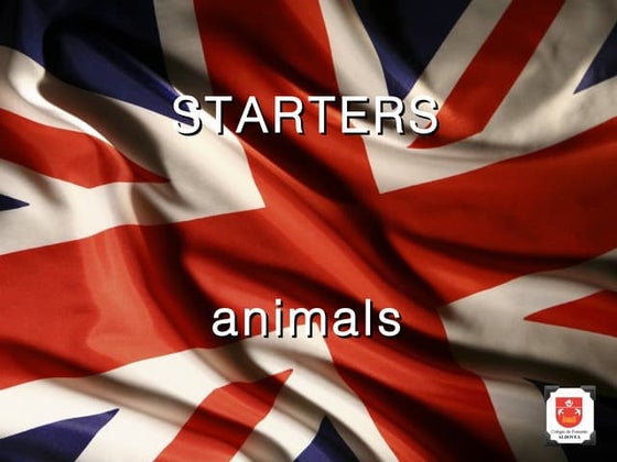Animals. Plurals | PPT