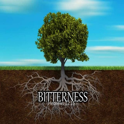 Bitterness | PPT
