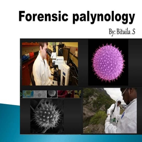 Find the culprit 101/ Introduction to Forensic Palynology | PPTX