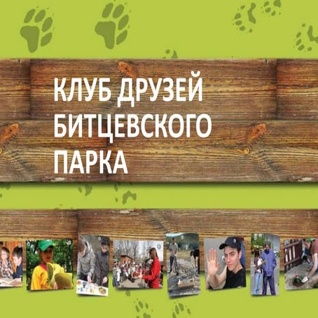 Bitza light-spreads | PDF