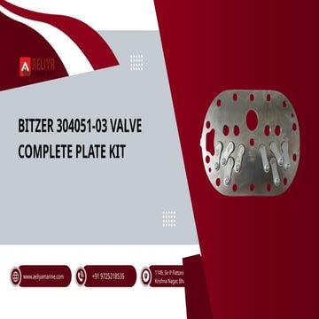 Bitzer 304051-03 Valve Complete Plate Kit.pptx