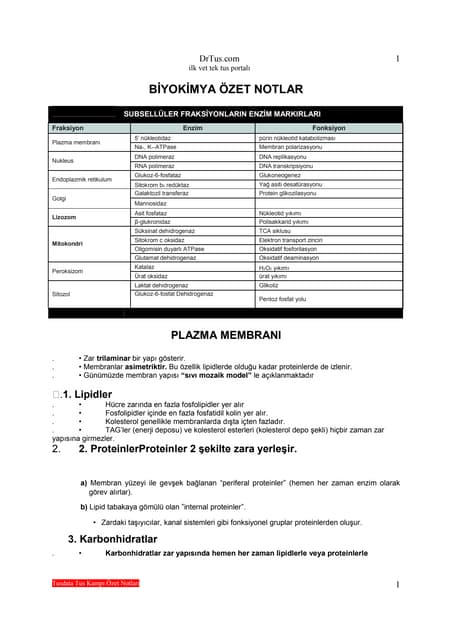 Biyokimya (hazir notlar) | PDF