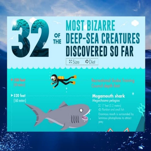 32 of the Most Bizarre Deep-Sea Creatures Discovered So Far | ODP