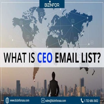 CEO Email List | CEO Email Address database | PPT