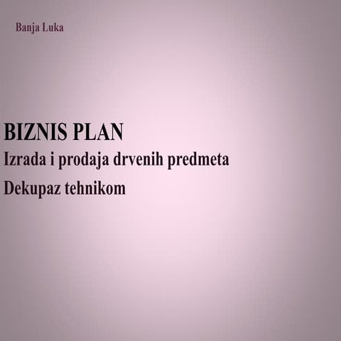 biznis plan.pptx