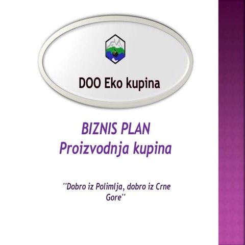 Biznis plan proizvodnja kupina | PPTX