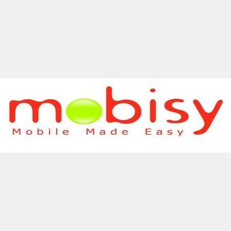 Bizom mobisy | PDF