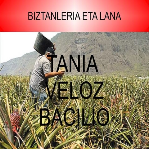 Biztanleria eta lana | ODP