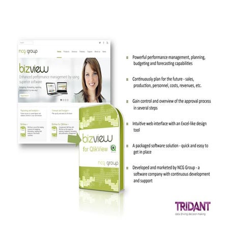 Bizview Performance Management for Qlikview Users | PDF